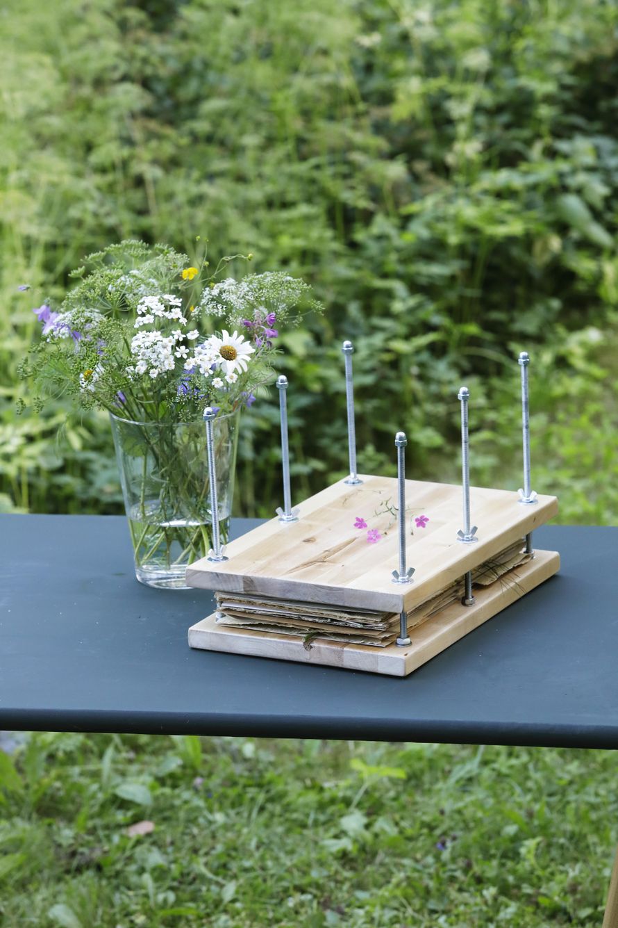 Näin teet tehokkaan kasviprässin ja kuivatat kauniita kukkakoristeita ...