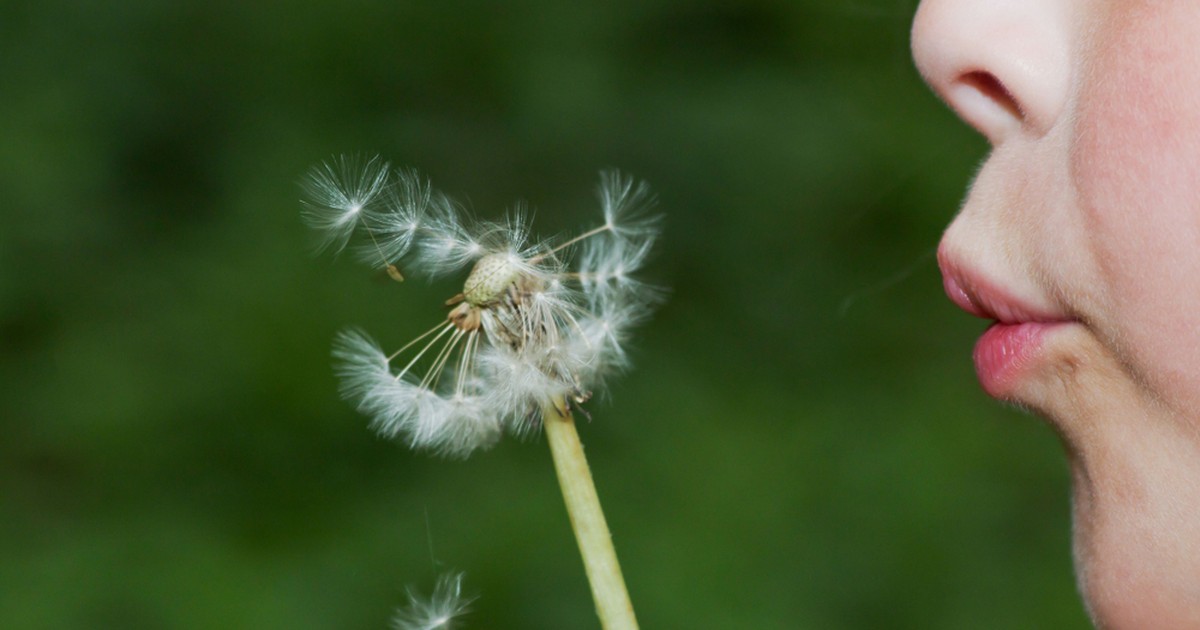 "Kun on helle helluntaina, niin pakkanen Paavalina" | ETLehti