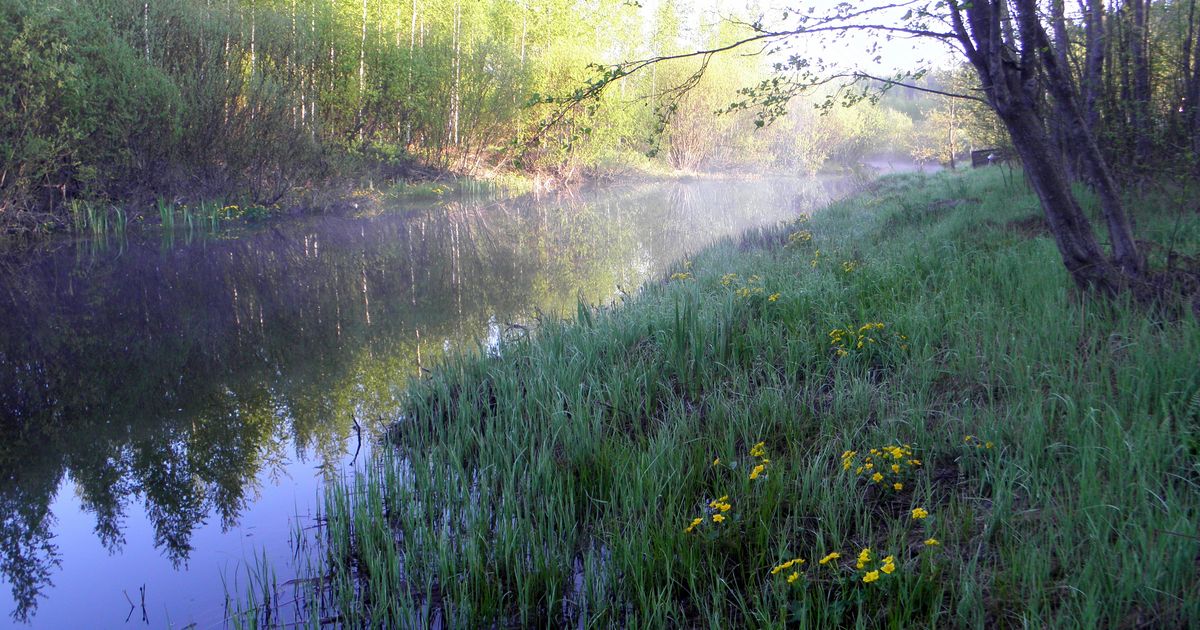 Älä anna punkin purra | ETLehti