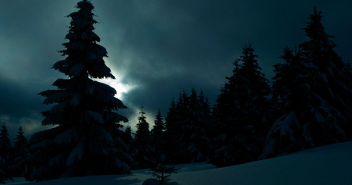 Näin selviät kaamosajasta – viisi järkevää vinkkiä arkeen | ETLehti